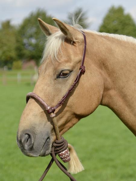 Bosal & Bosal Hanger | Handgefertigte Hackamore für Westernpferde ...